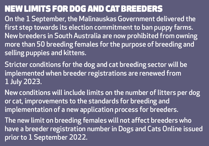 Breeding and selling | Dog and Cat Management Board